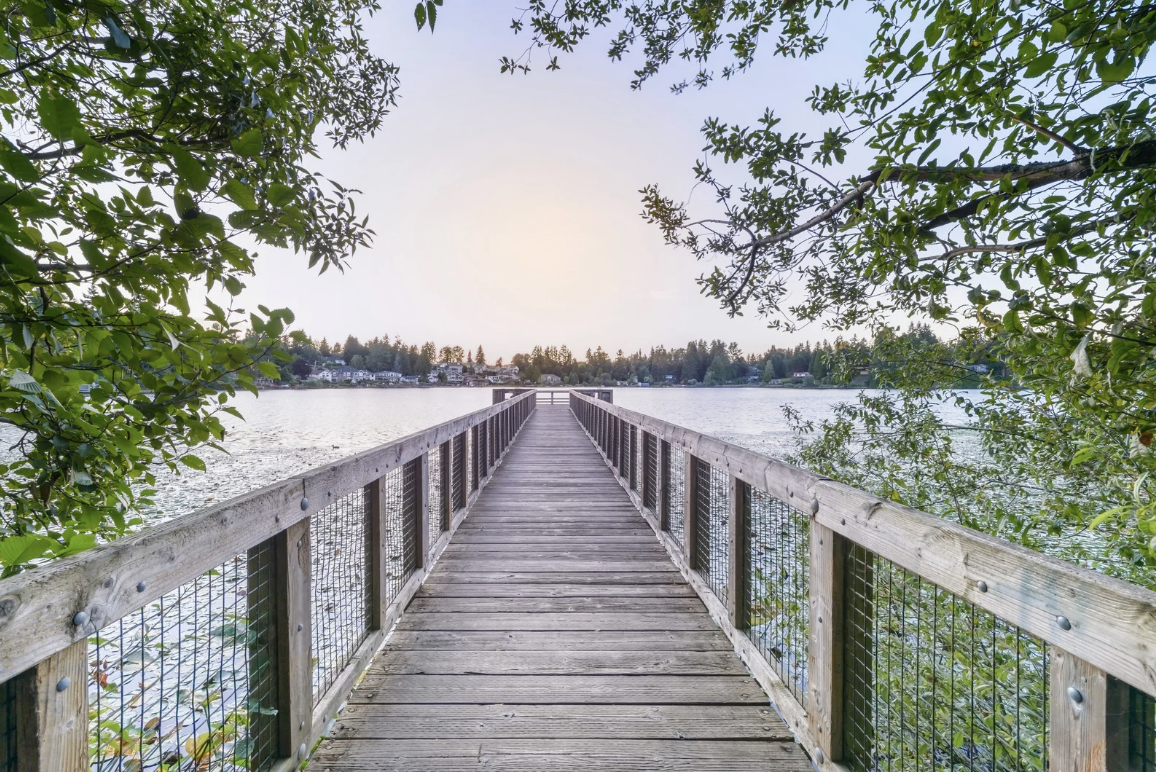 What Is a PMHNP? — Triumph Behavioral Health